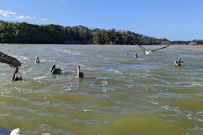 Las Coloradas Tour! Boat Ride, Lunch & Rio Lagartos from Cancun - Final Thoughts