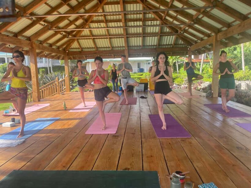 Las Galeras: Morning Yoga or Aerial Yoga at Villa Serena - Who Will Love This Experience?