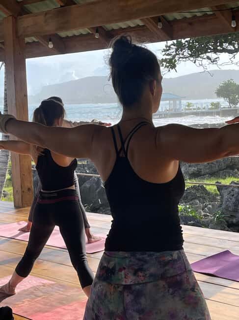 Las Galeras: Morning Yoga or Aerial Yoga at Villa Serena - The Sum Up