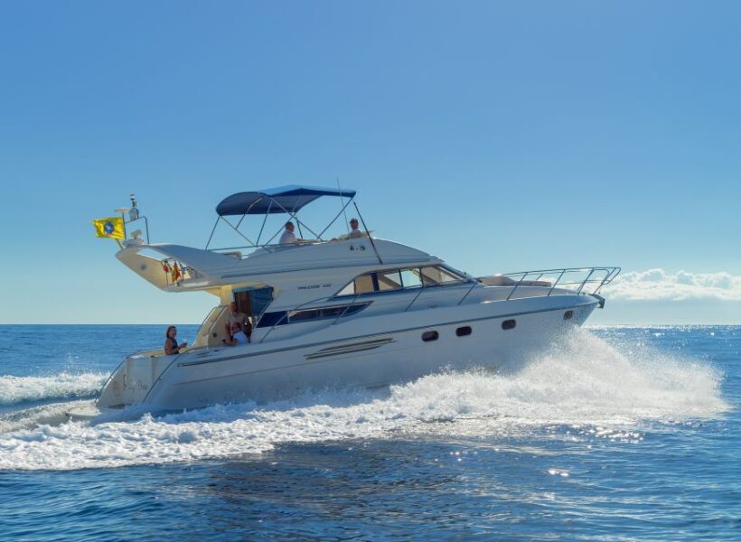 Las Galletas: Private Luxury Yacht Cruise with Lunch - Key Points