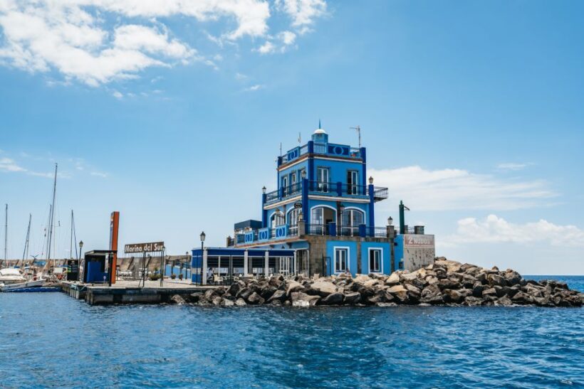 Las Galletas: Whale & Dolphin Tour with Local Skipper - Final Thoughts