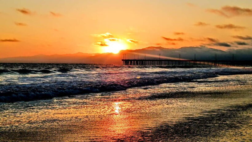 LA's Most Romantic Luxury Wine & Dine Boat Cruise & Sealions - Who Would Love This Experience?