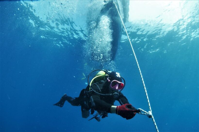 Las Palmas: 2-Day Padi Scuba Diving Course - Introduction: A Beginner-Friendly Underwater Adventure in Las Palmas