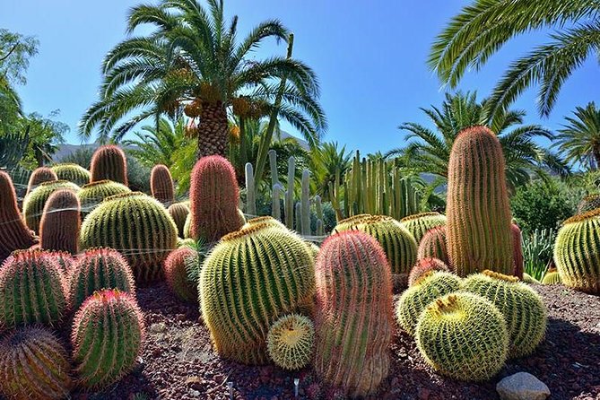 Las Palmas, Botanical Garden & Bandama Crater Tour - Gran Canaria - Shopping and Leisure at Las Arenas
