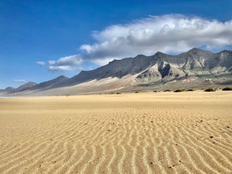 Las Palmas: Fuerteventura Cofete Beach and Desert Safari - Who Will Love This Tour?