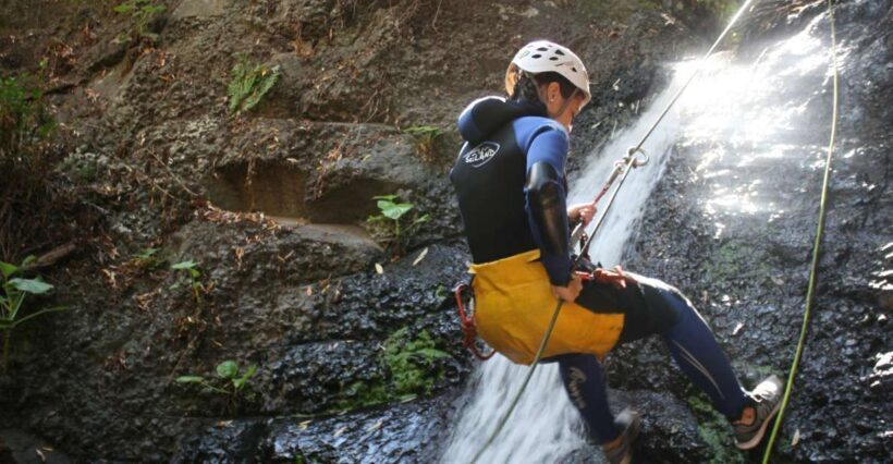 Las Palmas, Gran Canaria: Canyoning Adventure - Who This Tour Is Best For
