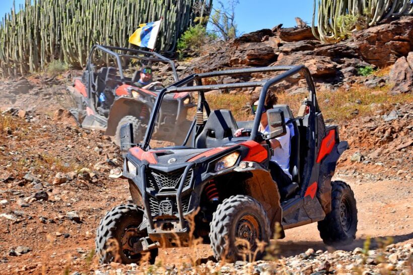 Las Palmas: Gran Canaria Guided Buggy Tour - Final Thoughts