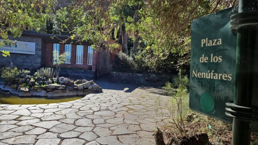 Las Palmas: Privat Botanic Garden Tour & opt. hike Extension - What Makes This Tour Stand Out