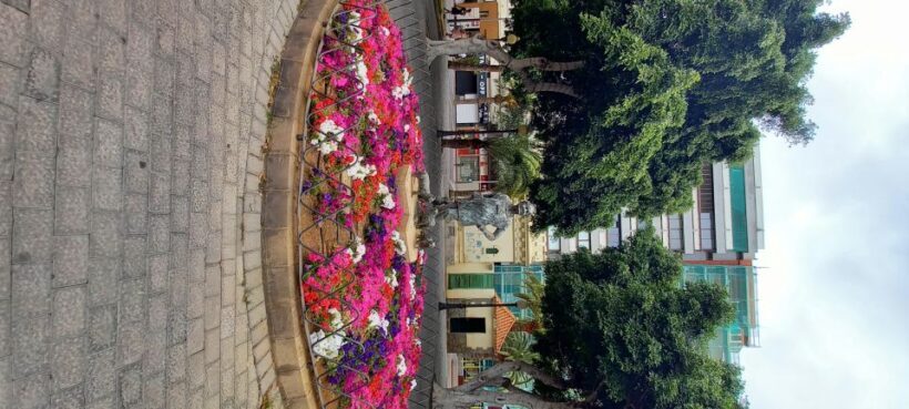 Las Palmas: Private City Highlights & Northern Villages Tour - Transportation, Duration, and Group Size