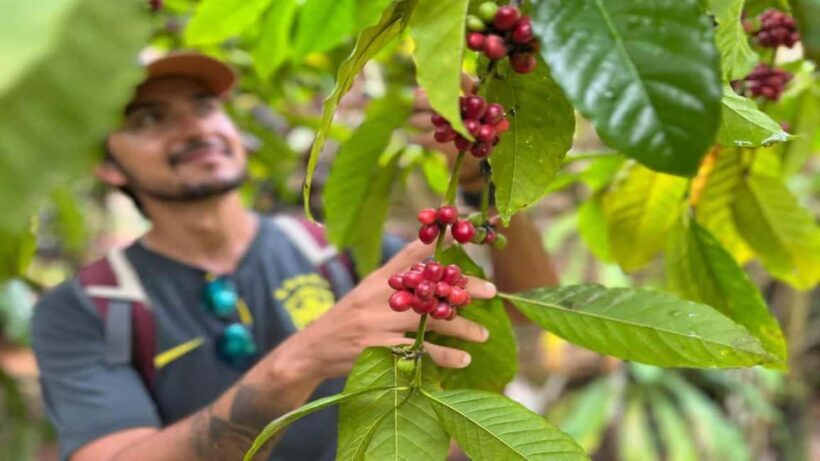 Las Terrenas: ATV Tour with Farm Visit and Beach Stop - An In-Depth Look at the ATV Tour Experience