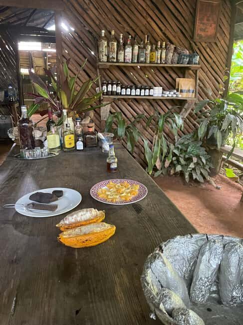 Las Terrenas: Private Coffee Trail ATV Tour in Samana - Safety and Comfort