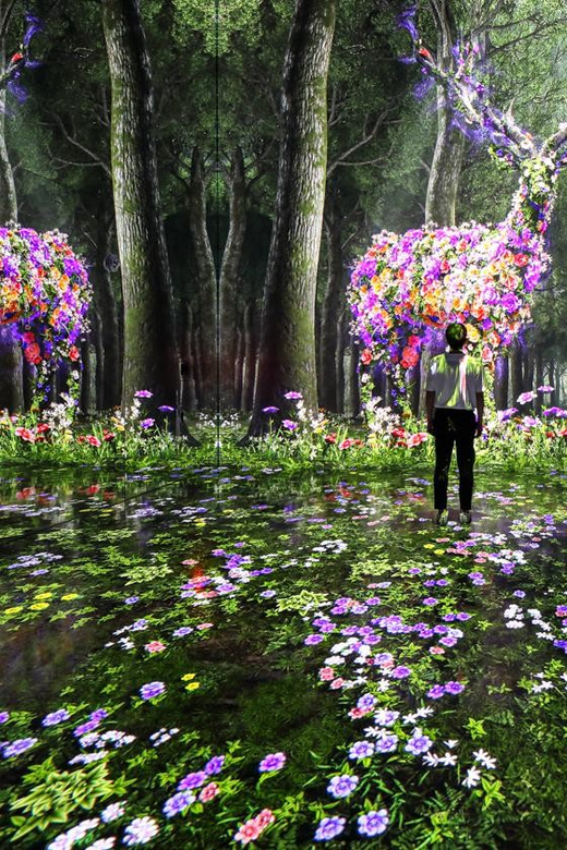 Las Vegas: Arte Museum Las Vegas Immersive Art Exhibition - Is it Worth the Price?