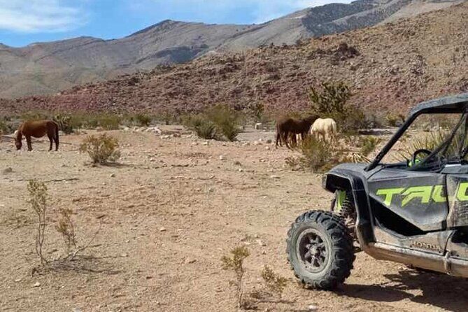 Las Vegas ATV/ RZR Off Road Adventure - A Closer Look at the Experience