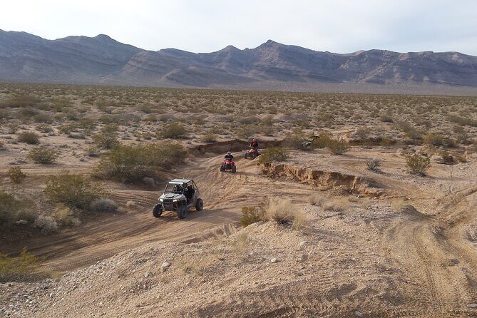 Las Vegas ATV/ RZR Off Road Adventure - FAQs