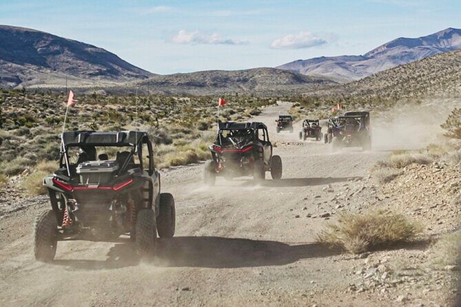 Las Vegas ATV Tour with Free Transportation - Practical Details and Tips