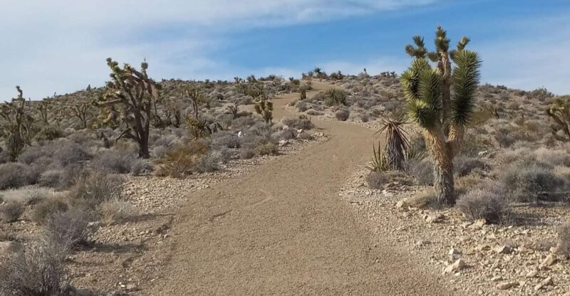 Las Vegas ATV Tours - The Heart of the Experience: Trails and Terrain