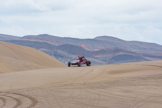 Las Vegas Big Dune Free Roam Adventure at Amargosa - What to Expect from the Dune Adventure
