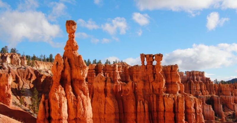 Las Vegas: Bryce and Zion National Parks Tour with Lunch - The Food and Value
