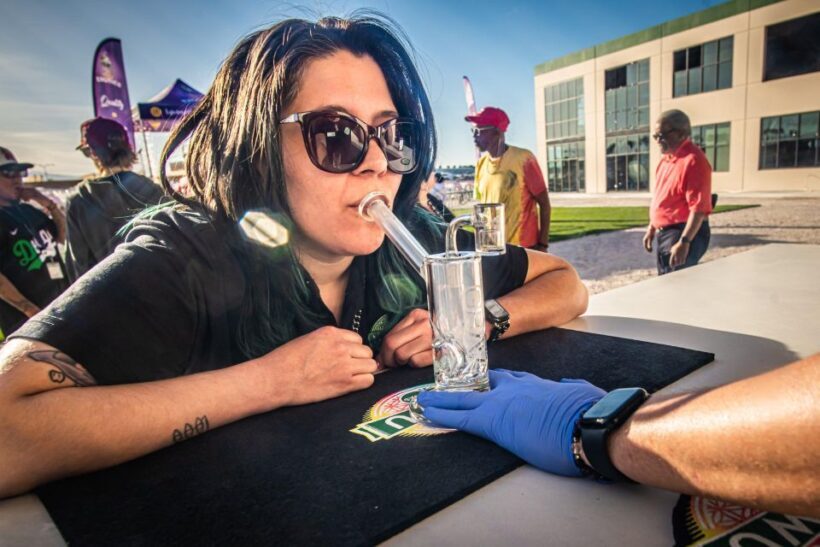 Las Vegas: Cannabis Tour with Weed Lounge & Party Bus - Key Points