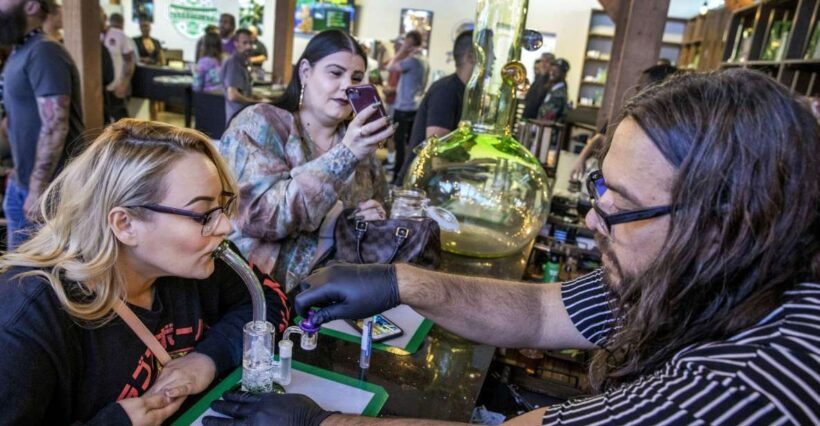 Las Vegas: Cannabis Tour with Weed Lounge & Party Bus - A Detailed Look at the Cannabis Tour Experience