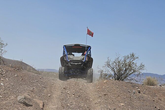 Las Vegas Desert Buggy & ATV Tour with Pickup - The Sum Up