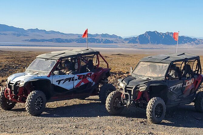 Las Vegas Desert Buggy Experience - An Authentic Off-Road Adventure: What to Expect