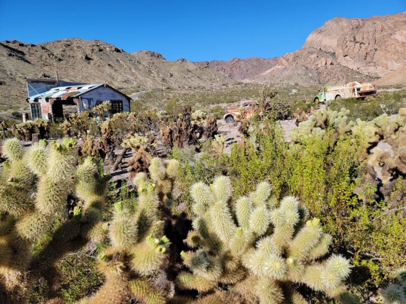 Las Vegas Eldorado Canyon & Nelson Ghost Town Adventure Tour - Exploring Nevada’s Hidden Gems: The Eldorado Canyon & Nelson Ghost Town Adventure Tour