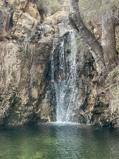 Las Vegas: Family Friendly Guided Hike to Emerald Falls - The Details: A Closer Look at the Itinerary