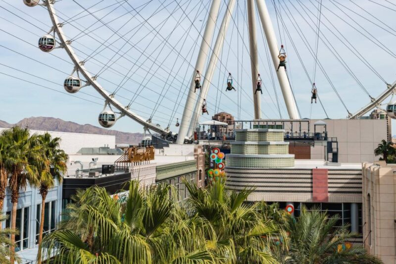 Las Vegas: FLY LINQ Zipline Ticket - FAQ – Frequently Asked Questions