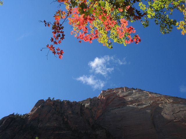 Las Vegas: Grand Canyon, Antelope, Bryce and Zion 3-Day Tour - The Second Day: Bryce Canyon and Zion