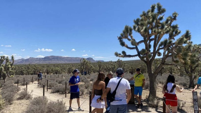 Las Vegas: Grand Canyon Helicopter & Ranch Adventure by Bus - Starting the Day: From Las Vegas to the Mojave Desert