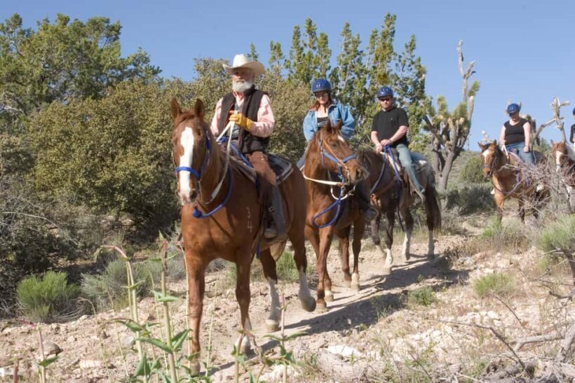 Las Vegas: Grand Canyon Helicopter & Ranch Adventure by Bus - Optional Add-Ons and Extras