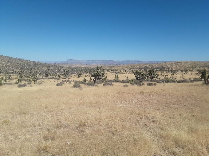 Las Vegas: Grand Canyon Helicopter West Rim Flight & Options - Returning to Las Vegas