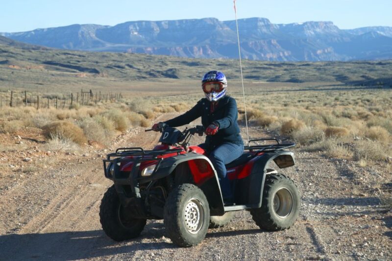 Las Vegas: Grand Canyon North ATV Tour with Scenic Flight - The Dutch Oven BBQ Lunch: A Rustic Meal