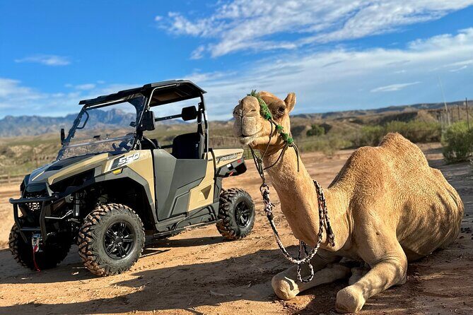 Las Vegas Guided UTV Safari and Zoo Tour - The Scenic Trails and Virgin River Stop