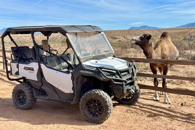 Las Vegas Guided UTV Safari and Zoo Tour - Final Thoughts