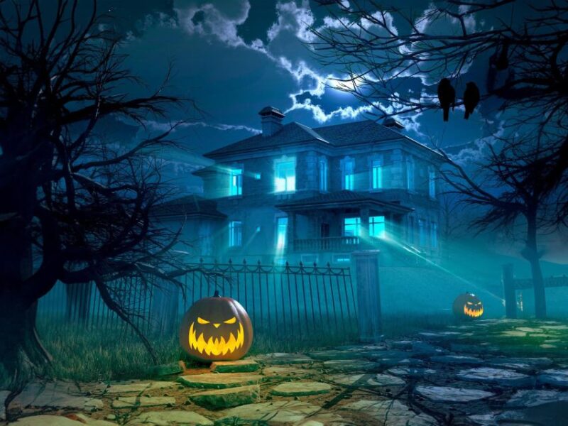 Las Vegas: Haunted House Wedding Ceremony + Photography - Who Will Love This Experience?