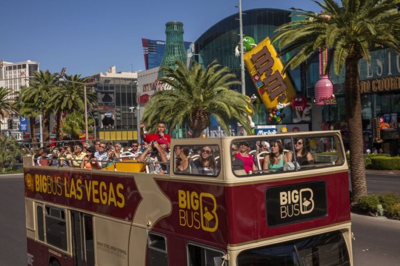 Las Vegas: Hop-on Hop-off Sightseeing Tour by Open-Top Bus - Who Will Love This Tour?