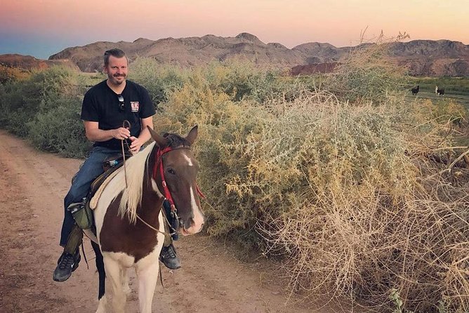 Las Vegas Horseback Ride With Meal - Highlights of the Tour