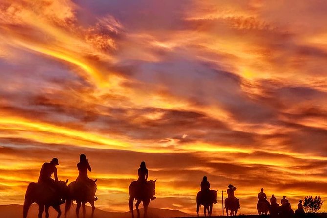 Las Vegas Horseback Ride With Meal - Customer Experiences and Testimonials