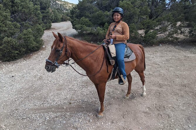 Las Vegas Horseback Riding Adventure in Mountain - Who Is This Tour Best For?