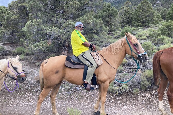 Las Vegas Horseback Riding Adventure in Mountain - The Sum Up
