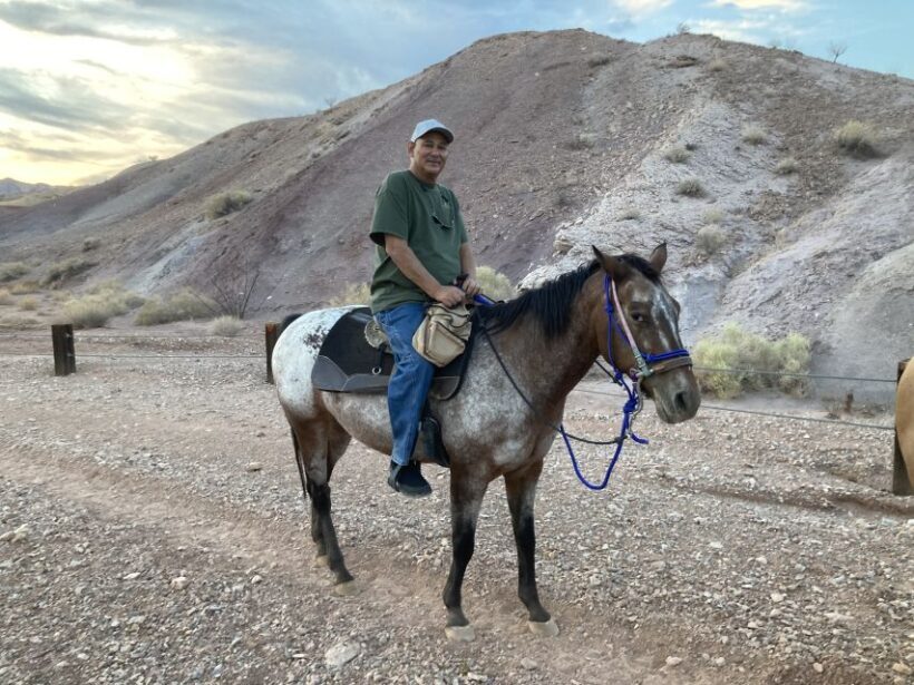 Las Vegas: Horseback Riding Tour - Who Will Love This Tour?