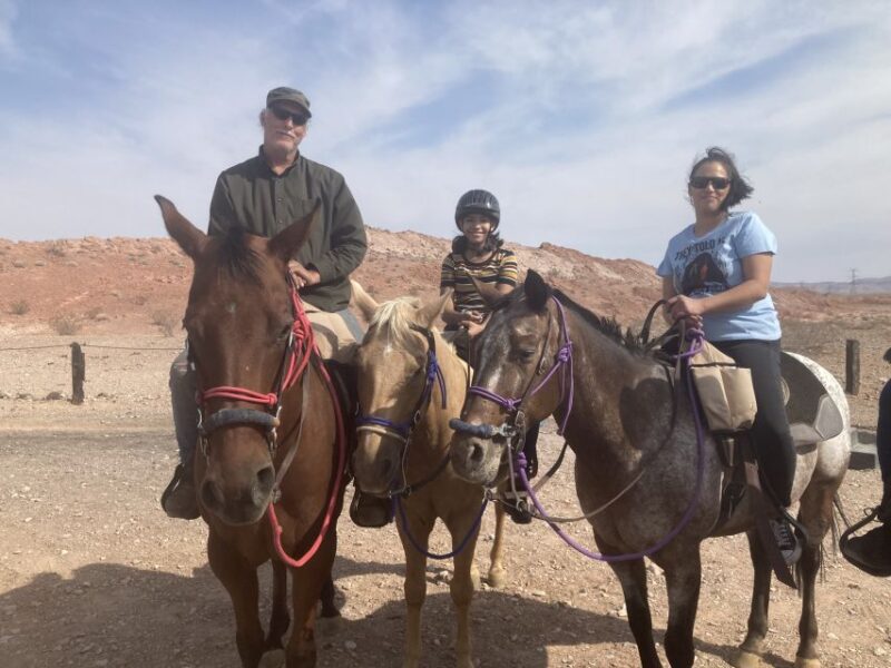 Las Vegas: Horseback Riding Tour - Who Should Consider This Tour?