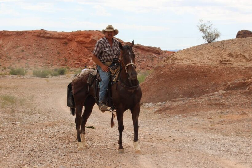 Las Vegas: Horseback Riding Tour with Lunch - Why This Tour Works for Travelers