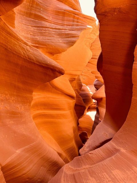 Las Vegas: Lower Antelope Canyon & Horseshoe Bend 1-Day Tour - What Makes This Tour Stand Out?