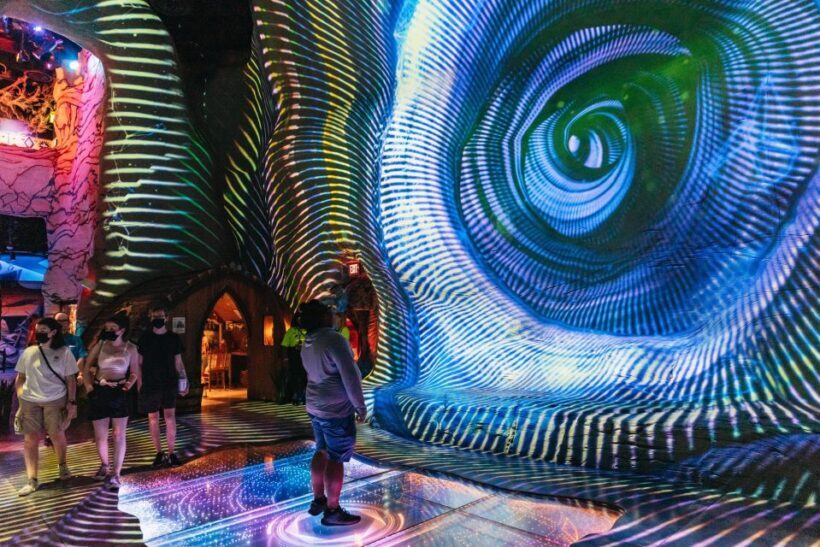 Las Vegas: Meow Wolf - Omega Mart VIP Ticket - The Sum Up: Who Should Consider This Experience?