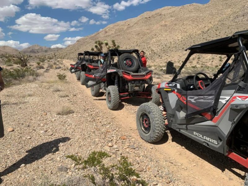 Las Vegas Mojave Off Road Adventure/Polaris RZR Guided Tour - Who Should Consider This Tour?