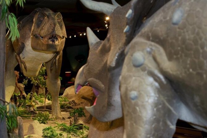 Las Vegas Natural History Museum Admission Ticket - Final Thoughts