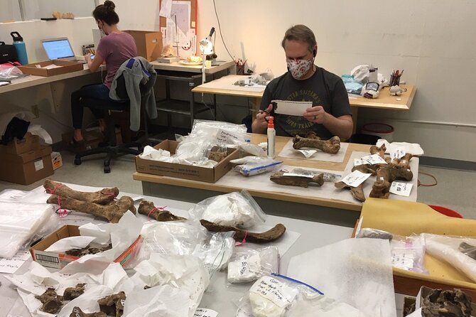 Las Vegas Natural History Museum Admission Ticket - FAQ (Frequently Asked Questions)